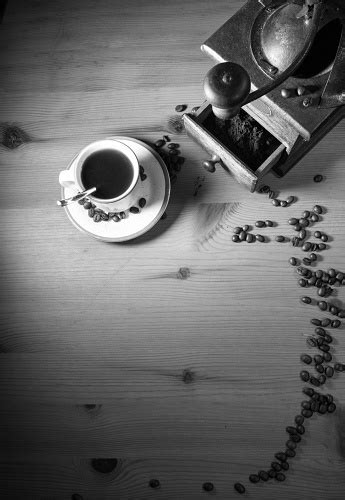 과거오래 된 빈티지 레트로 그 라인 더 원두 커피와 커피 콩 나무 배경 흑백에서 복사 공간에 평면도와 블랙 커피의 컵에서 이야기 가루로 빻은에 대한 스톡 사진 및 기타