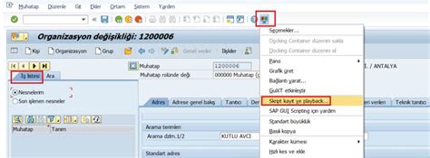 Sap Sap Script Kullanımı