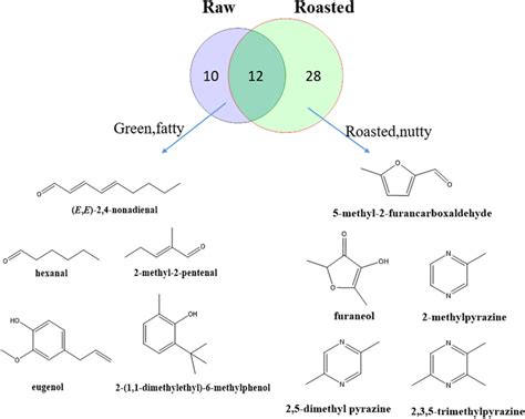 The Flavor Compounds And The Key Aroma Active Compounds Identified By