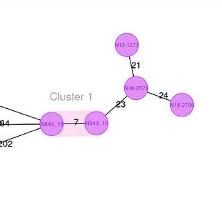 Minimum Spanning Tree Illustrating The Phylogenetic Relationship Download Scientific Diagram