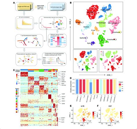 The Cellular Landscape Of Non Small Cell Lung Cancer Nsclc A Download Scientific Diagram