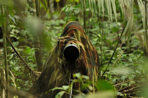 Wildlife Photography Camouflage Tips And Different Approaches