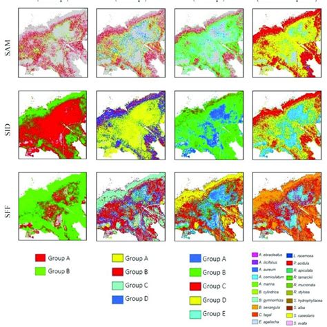mangrove species mapping results using the sam sid and sff algorithms download scientific