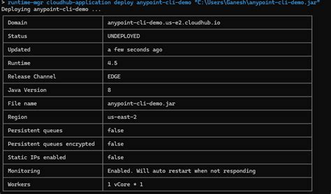 Deploy Mule Applications To Cloudhub With Anypoint Cli V4