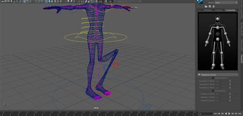 Solved Custom Rig Mapping Problem Autodesk Community