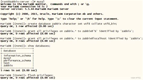 Zabbix分布式监控系统