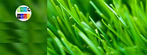 무한잉크 복합기 무한잉크 프린터 칼라컬러 디지털 복사기 및 소모품 임대 및 판매 전문