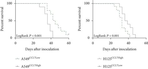 Xenograft Tumors Formed By Ccl7 Low Cells Have Reduced Macrophage Download Scientific Diagram