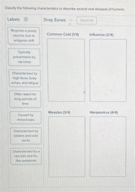Solved Classify The Following Characteristics To Chegg