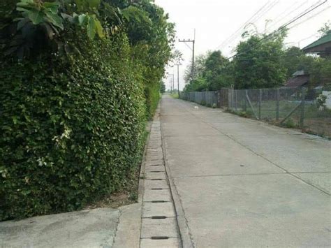 ที่ดิน ดอยสะเก็ด เนื้อที่ 298 ขายที่ดินจังหวัดเชียงใหม่