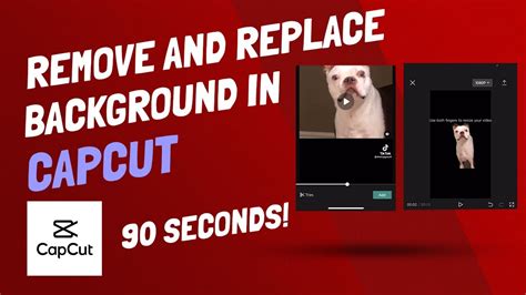 Capcut How To Remove Background From Video And Replace Background Youtube