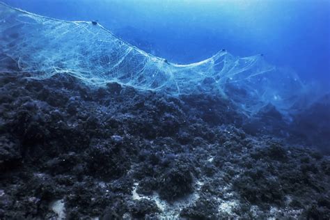 What Is A Gill Net