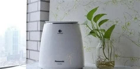 净化空气有哪些方法 360新知