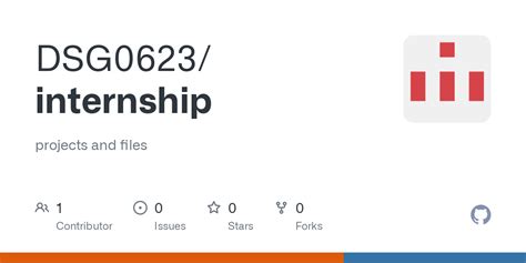 GitHub DSG Internship Projects And Files