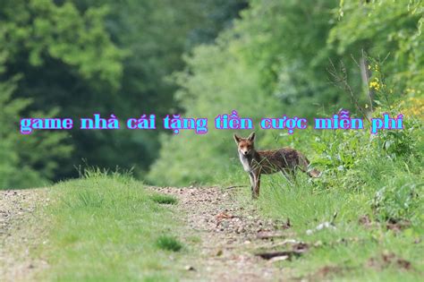 Cách Sử Dụng Html Và Css để Tạo Một Hộp Thoại đơn Giản Game Nhà Cái Tặng Tiền Cược Miễn Phí