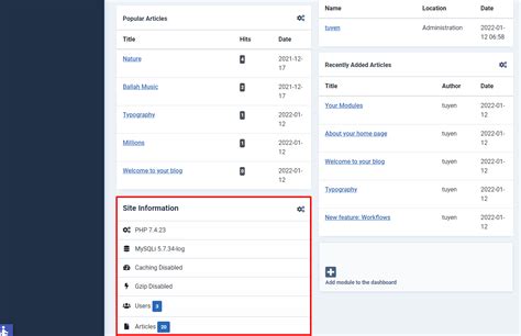 Introducing System Information In Joomla 4 Ltheme