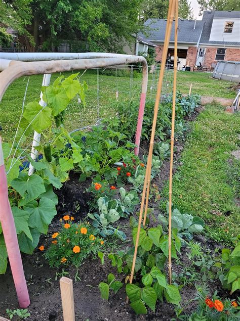 How To Amend Clay Soil For Gardening