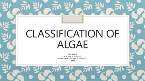 Classificatiof Algaepptx
