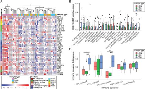 Immune Microenvironment Evaluation Of Lesions In Our Data A