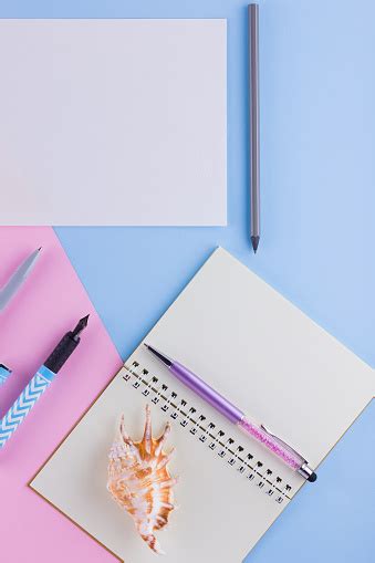 학교 개념으로 돌아갑니다 분홍색 파란색 배경에 학교 문구와 조개 파스텔 배경에 펜 연필과 곤 맨 위 보기 복사 공간 개념에 대한 스톡 사진 및 기타 이미지 Istock