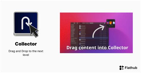 install collector on linux flathub