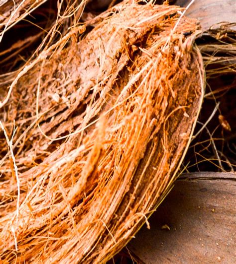 Plant Based Packaging Is The Next Big Thing Unbound