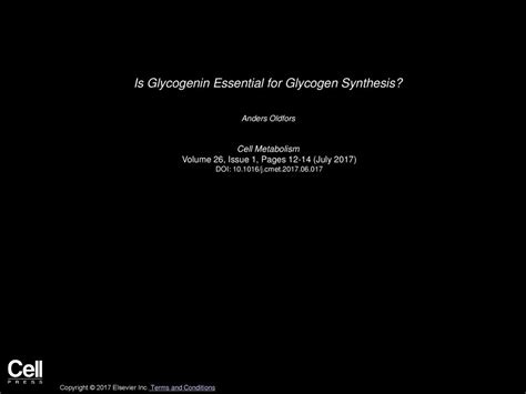 Is Glycogenin Essential For Glycogen Synthesis Ppt Download