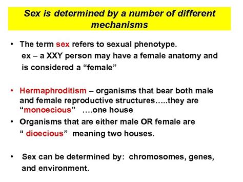 Sex Determination And Sex Linked Traits How