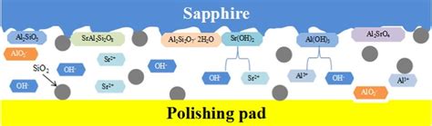 Schematic Illustration Of The Chemical Reaction Model In CMP Process Download Scientific Diagram