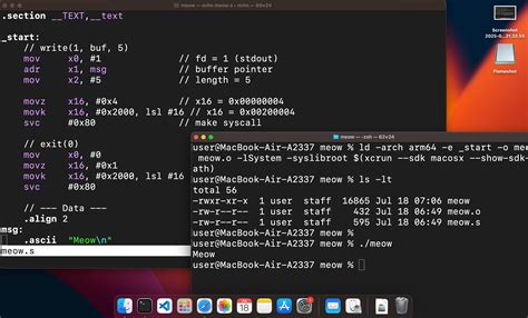 Macos Hacking Part 6 Assebmly Intro On Armm1 Simple Nasm M1 Examples Cocomelonc