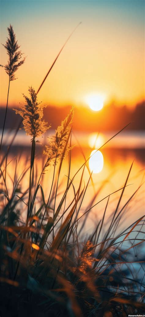 26 عکس حرم با کیفیت بالا و جذابیت بین الحرمین کربلا