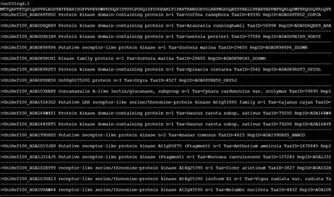 Hhblits The Output First Sequence Length32763 Is Not Equal To Query