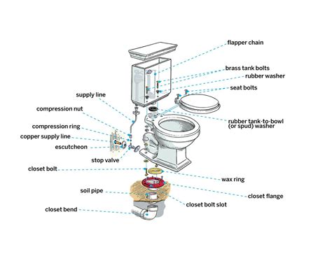 Toilet Plumbing Diagrams How A Toilet Works