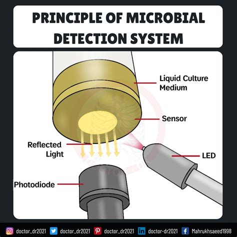 Bactalert System Revolutionizing Microbial Detection