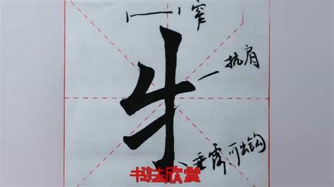 书法作品偏旁部首之牛字旁的书写方法和手法 高清1080P在线观看平台 腾讯视频