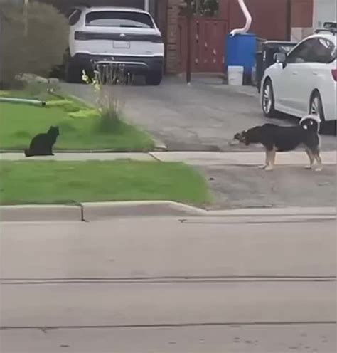 Good Morning Imgur Album On Imgur