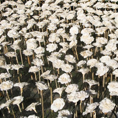 egidija s notebook frieze sculpture park sanchayan ghosh