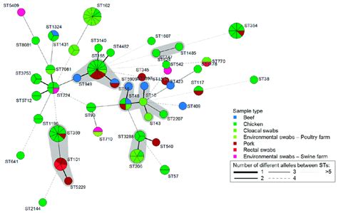 Minimum Spanning Tree Based On Multilocus Sequence Typing Alleles Of