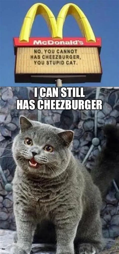 I Can Has Cheezburger Cat Memes Piñata Farms The Best Meme Generator And Meme Maker For
