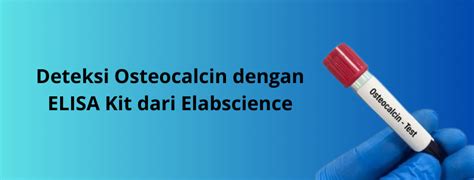 Deteksi Osteocalcin Dengan Elisa Kit Dari Elabscience Pt Indogen