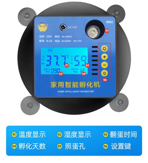 跨境小型家用全自动智能小飞碟鹦鹉鸟蛋芦丁鸡孵化箱孵蛋器孵化器 阿里巴巴