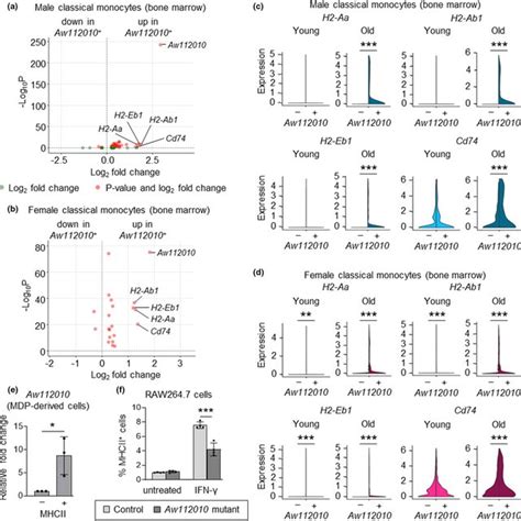 Aw112010 Regulates Mhcii Expression By Mouse Macrophages A B Download Scientific Diagram