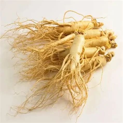 How To Use Ginseng Root Extract To Make High End Skin Care Products