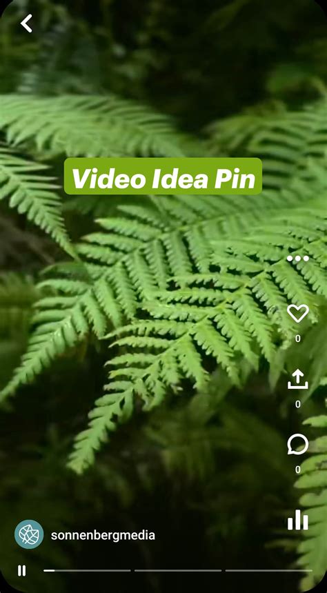 How To Create And Promote Idea Pins On Pinterest Social Media Examiner