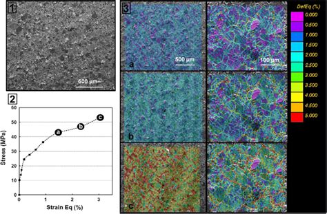 2d Dic Results Equivalent Strain From In Situ Sem Test On Fine Grained Download Scientific