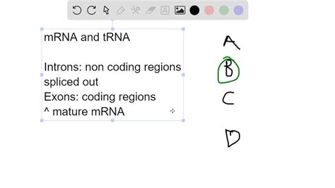 solved in an rna molecule a n is a genetic code word that