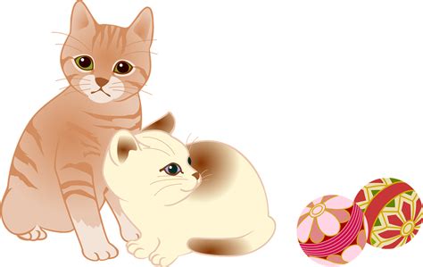 Download Kittens Cats Balls Royalty Free Vector Graphic Pixabay