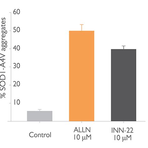 Sod1 A4v Aggregation Assay Cell Line Innoprot Cell Lines For Als