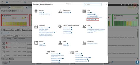 How To Use The Traffic Medium Configuration Page Blue Triangle Help