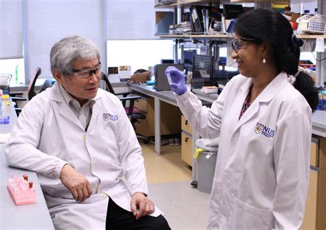 RUNX Proteins Found To Be Integral To Efficient DNA Repair